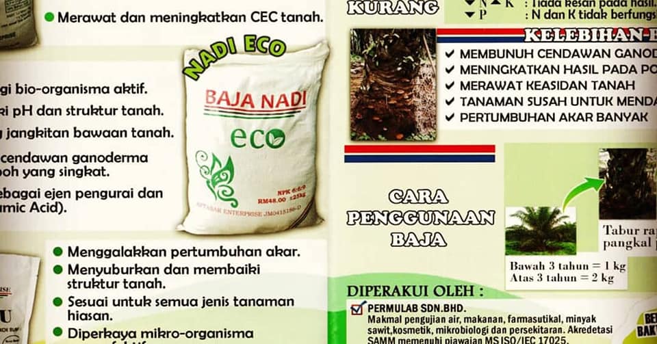 KEUSAHAWANAN – Aida Binti Abdul Jalil – NADI Felda Soeharto